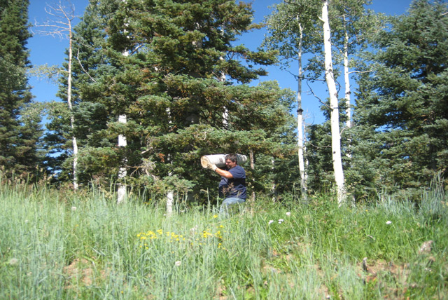 Strongman-contest | Life on a Colorado Farm