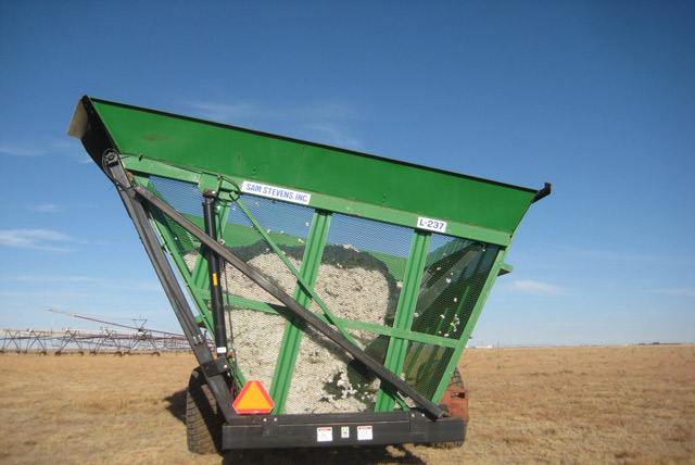 Cotton-buggy | Life on a Colorado Farm