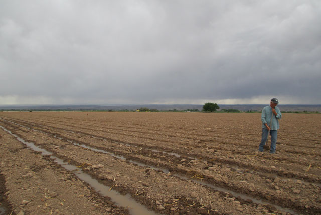 Bean-Field-and-Water | Life on a Colorado Farm