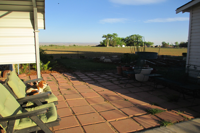 Out the Back Door | Life on a Colorado Farm