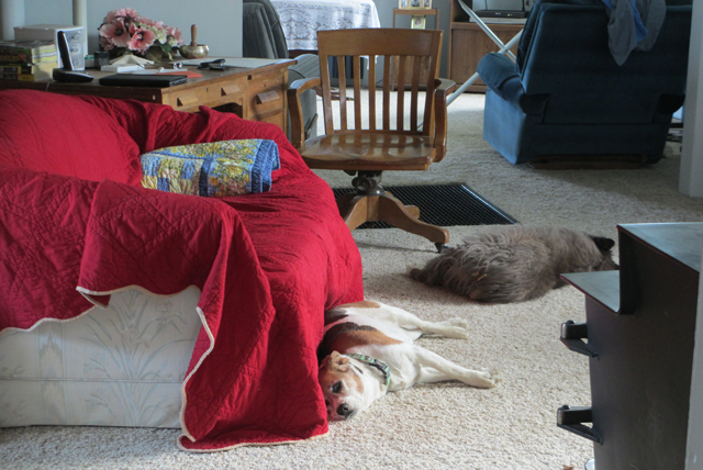 When-it-is-cool-outside | Life on a Colorado Farm