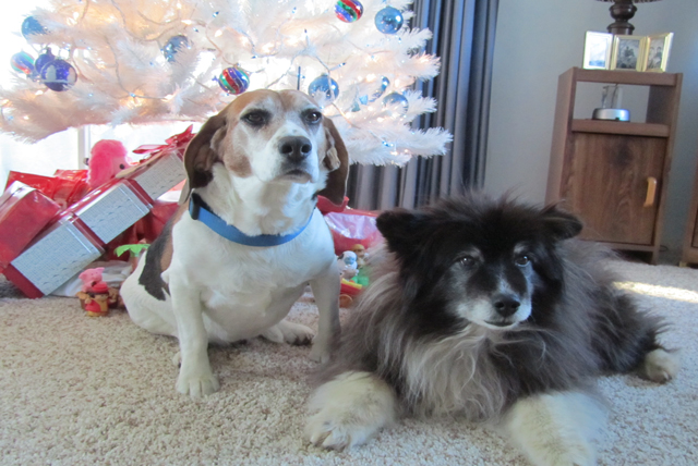 The Adventures of Fuzzy and Boomer on Friday — A Christmas Story | Life ...