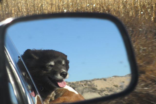 Wheeeee | Life on a Colorado Farm