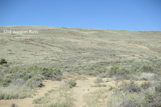 Ruts | Life on a Colorado Farm