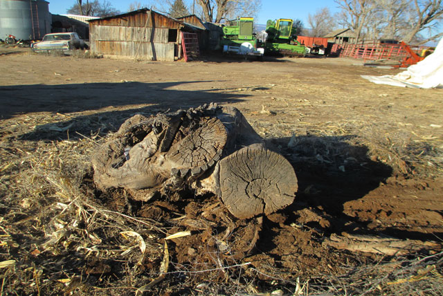 The-burr | Life on a Colorado Farm