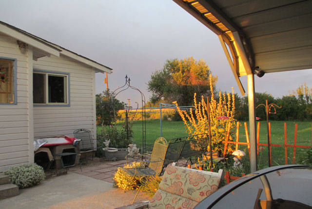 September-Sun-1 | Life on a Colorado Farm