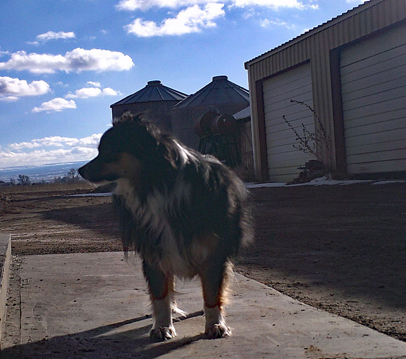 The Adventures of Boo Berry Betty and TLC Cai-Cai on Friday—-We Have ...