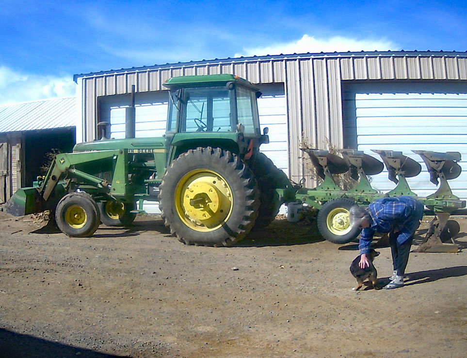The Corn Report — Monday, July 24, 2023 | Life on a Colorado Farm