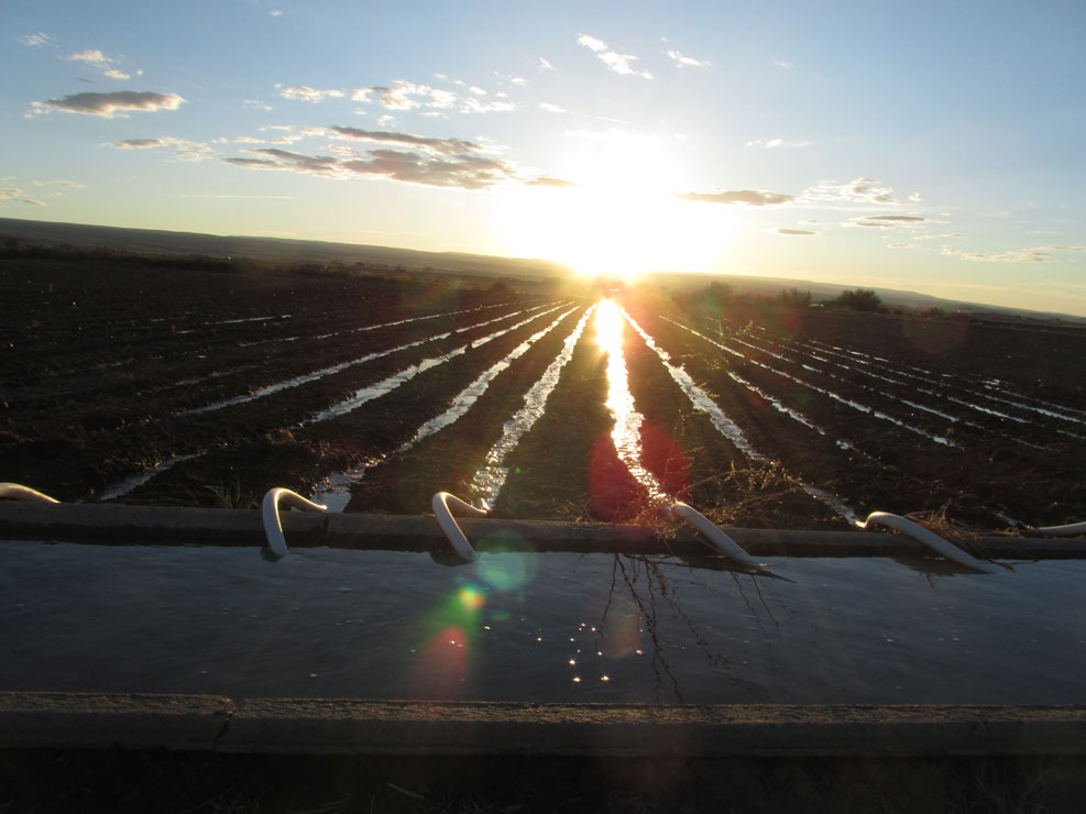 The Adventures of Boo Berry Betty and TLC Cai-Cai on Friday—-HOT ...