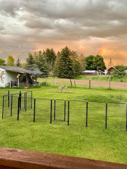 Life on a Colorado Farm | Life on a Colorado Farm (All Rights Reserved)