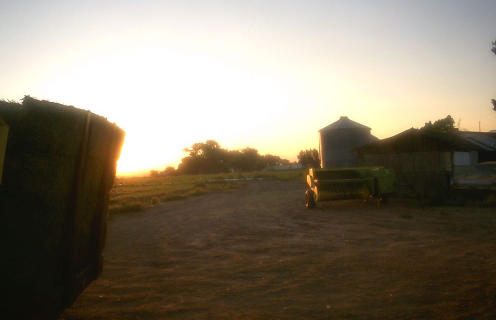 Last Pull of the Year— Sunday, August 4, 2024 | Life on a Colorado Farm