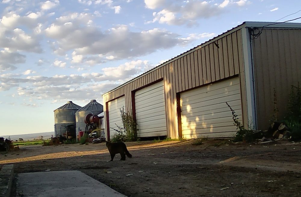 Life on a Colorado Farm | Life on a Colorado Farm (All Rights Reserved)