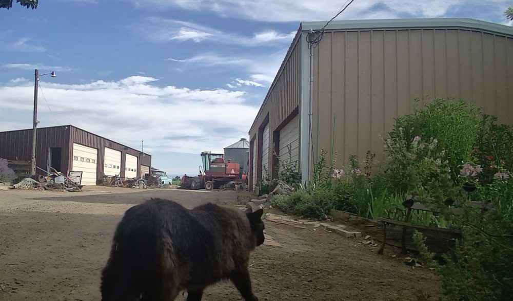 Life on a Colorado Farm | Life on a Colorado Farm (All Rights Reserved)