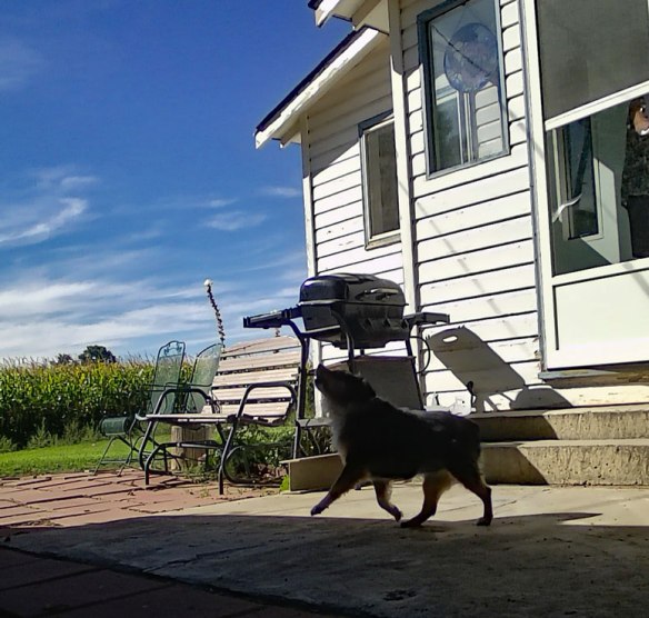 The Adventures of Boo Berry Betty and TLC Cai-Cai on Friday ...