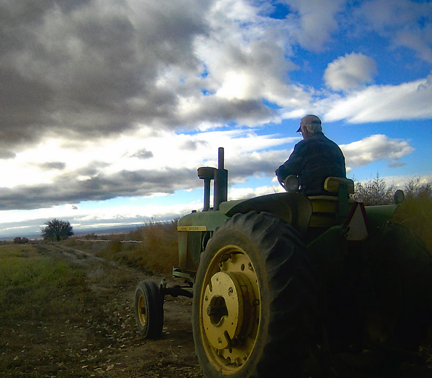 I FOUND a HEART!!! A Heart! Oh! A Beautiful Heart!!! —- Wednesday ...