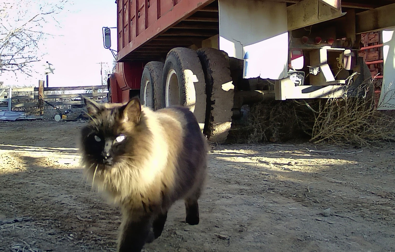 The Adventures of Boo Berry Betty, TLC Cai-Cai, and Mr. Hobbs on Friday ...
