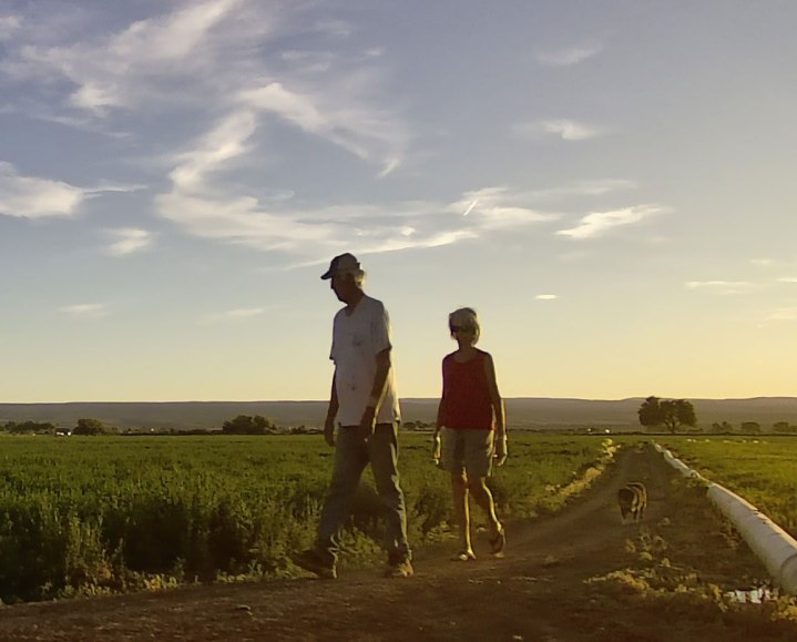 It’s Summer Time —- Wednesday, July 1, 2026 | Life on a Colorado Farm