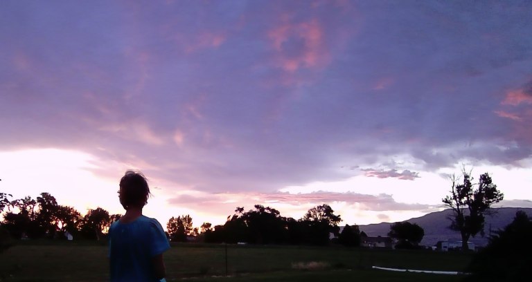 I Love a Purple Sky — Wednesday, June 10, 2026 | Life on a Colorado Farm